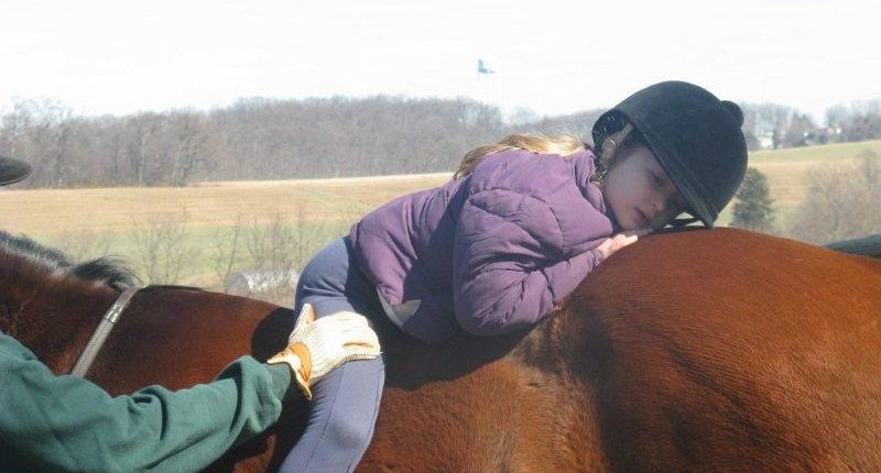 Individuals with Autism – EquiTeam Support Services | Equine Assisted ...